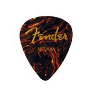 Pana Chitara Fender Pene chitare Sound Studio