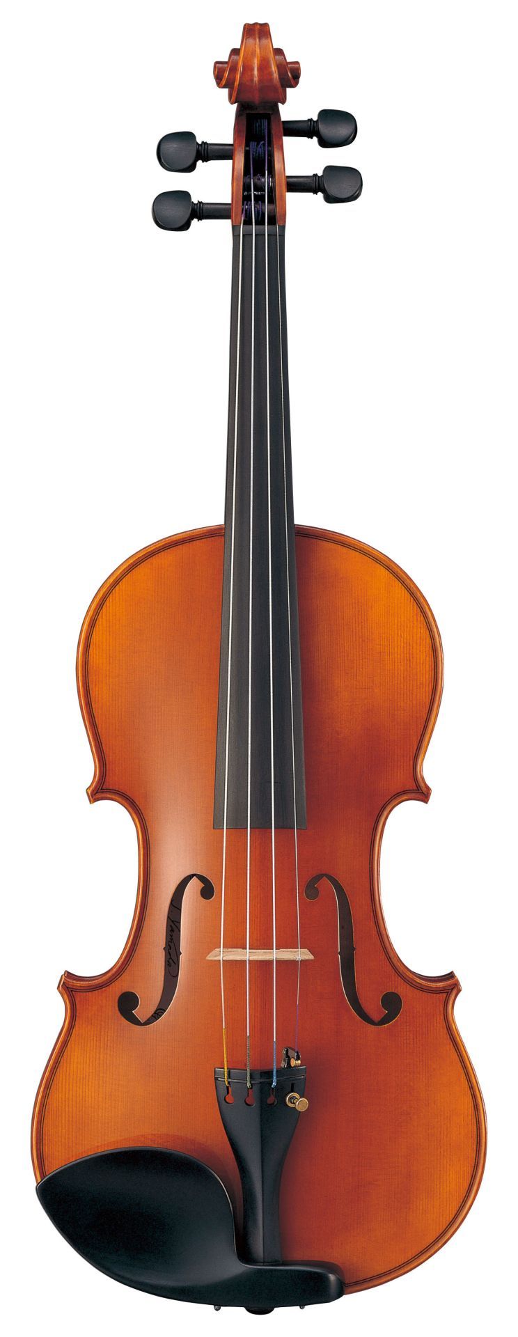 Yamaha V10 G 4 Vioara Acustica